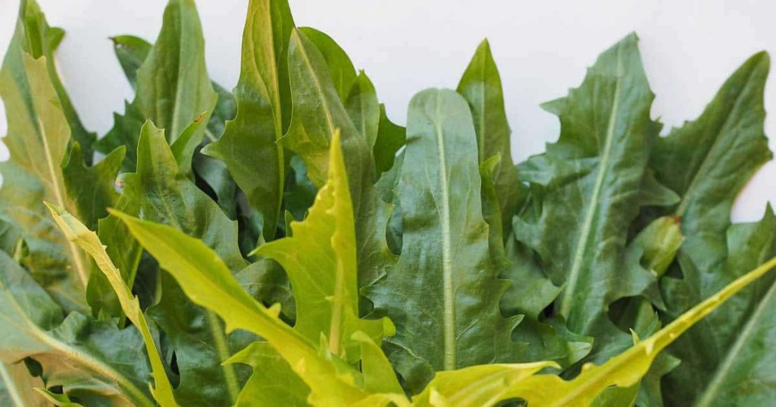 5 légumes pérennes à planter une fois et à savourer pour toujours ...