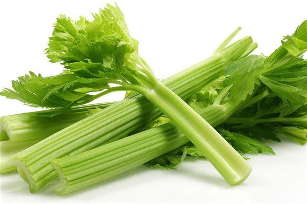 Qu'est ce que le céleri - Jardin de Grand Meres