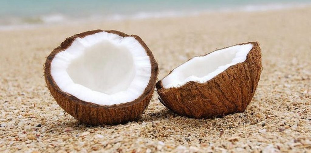 Les avantages de manger des noix de coco - Jardin de Grand Meres