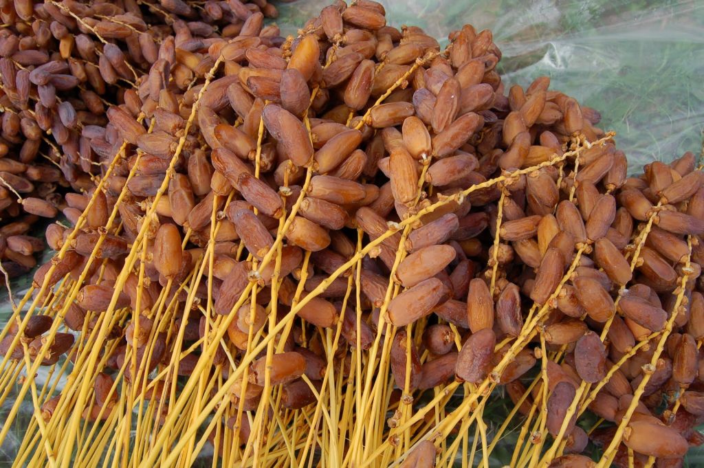 Les bienfaits des dattes - Jardin de Grand Meres