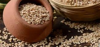 Les avantages de manger du sésame grillé - Jardin de Grand Meres