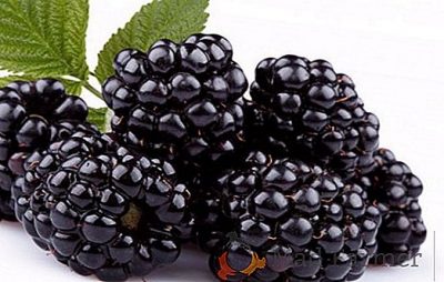 Les avantages du framboises noires - Jardin de Grand Meres