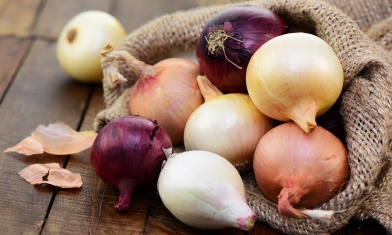 Les bienfaits des oignons vous incitent à les manger - Jardin de Grand ...
