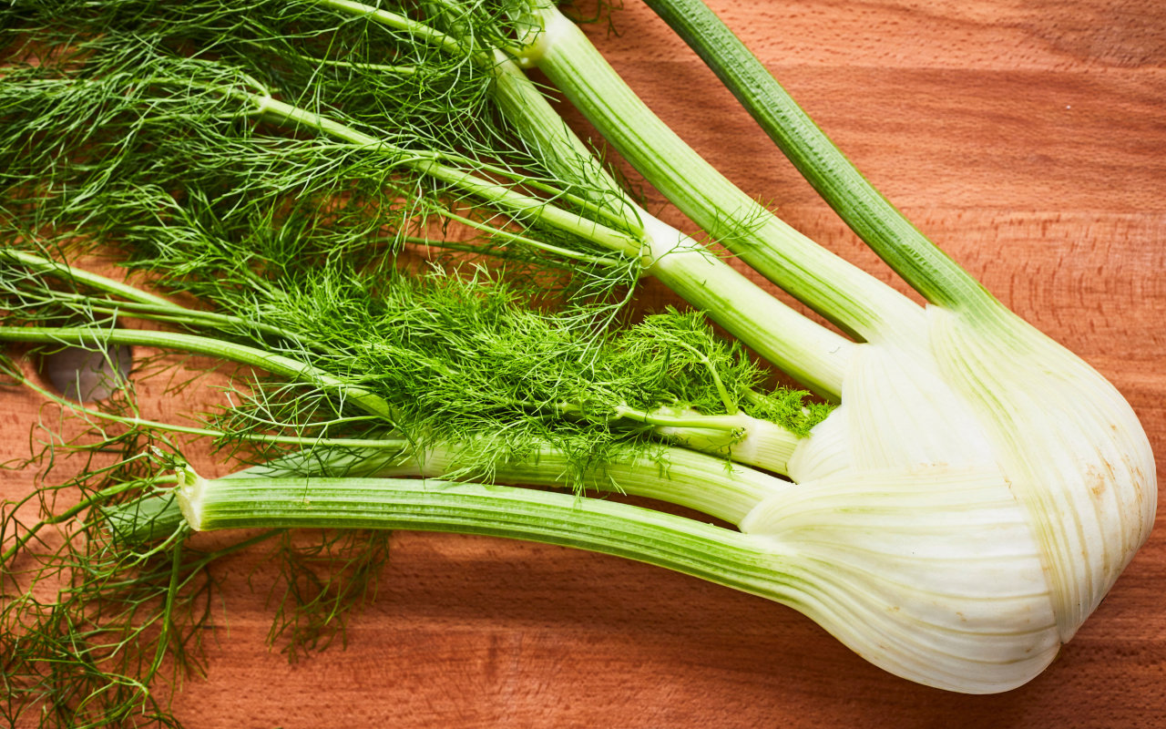 Comment faire pousser du fenouil à la maison - Jardin de Grand Meres