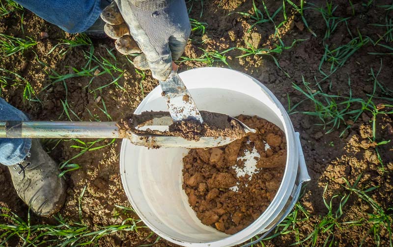 Vous devez contrôler votre sol et ce que vous devez faire - Jardin de ...