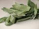 4 bonnes raisons de planter de la sauge et de nombreuses façons ...