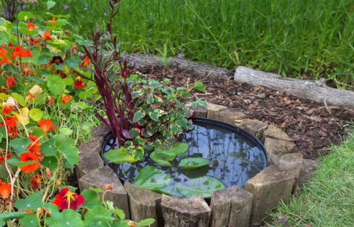 voici comment Créer un mini-bassin en 2 heures chrono - Jardin de Grand ...