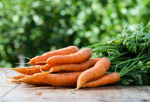Culture de carottes en pot : 5 clés pour réussir. - Jardin de Grand Meres