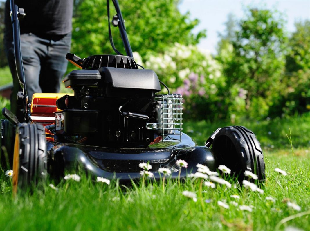 Ces 5 meilleures tondeuses pour votre jardin - Jardin de Grand Meres