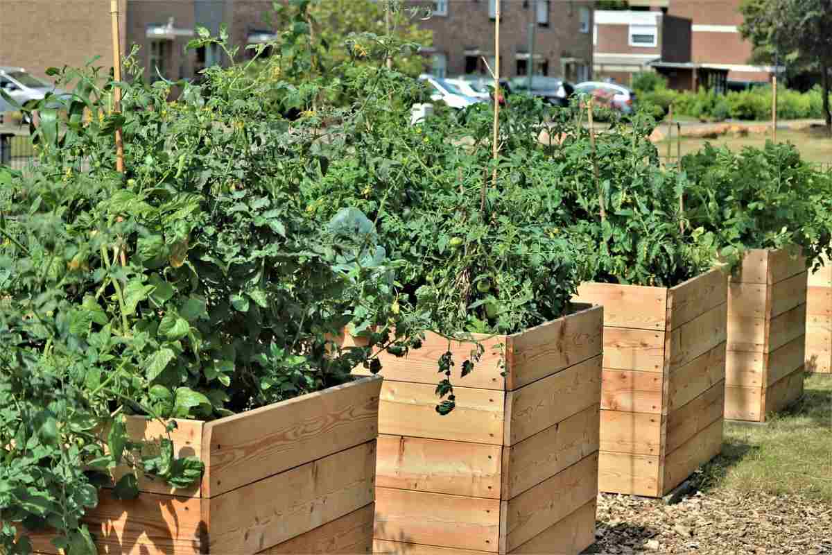 Comment faire un potager urbain | Potager urbain - Jardin de Grand Meres