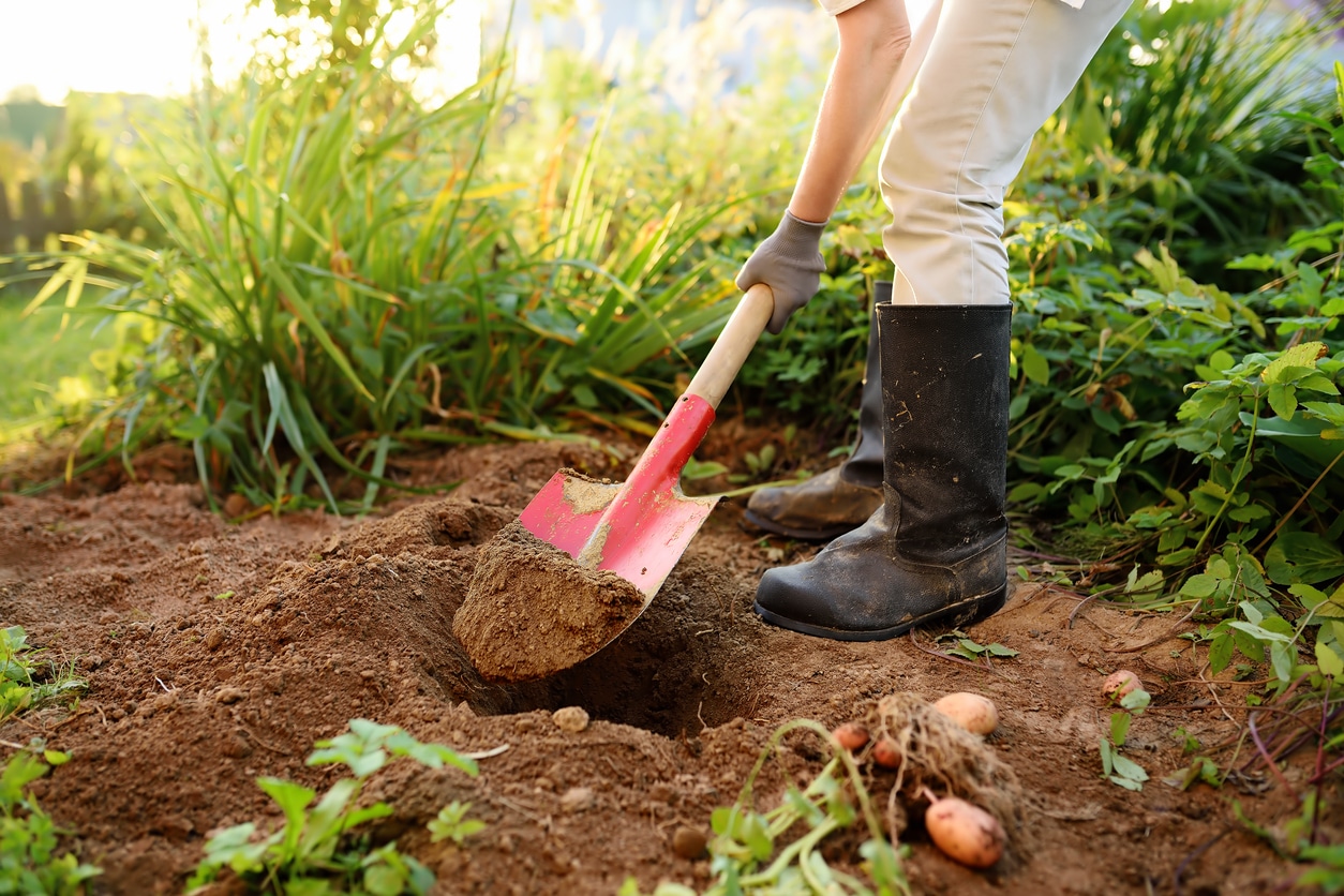 10 outils essentiels pour le jardinage - Jardin de Grand Meres
