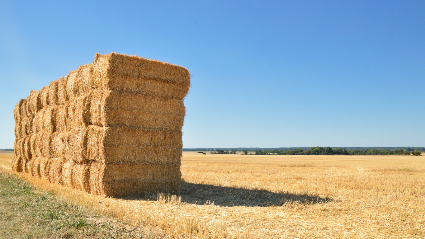 Balle de paille : comment cultiver des légumes avec de la paille ...