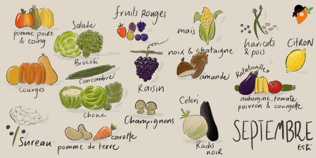 Septembre : Connaître les fruits et légumes de saison - Jardin de Grand ...